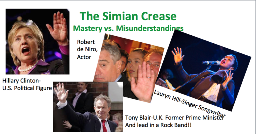 Gifts • The Simian Crease - HandTales