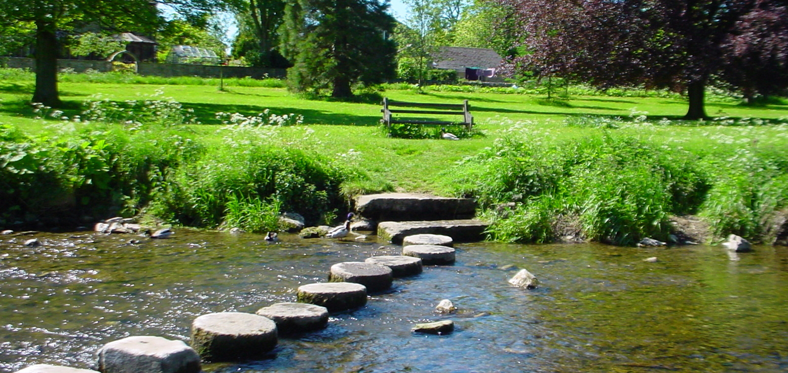 [Your 5 Step Challenge] Turn Stumbling Blocks into Stepping Stones ...